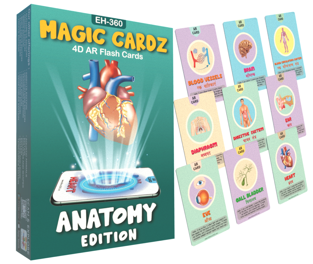 4D Anatomy Augmented Reality (AR) Flash Cards – AR kids Magic Cardz